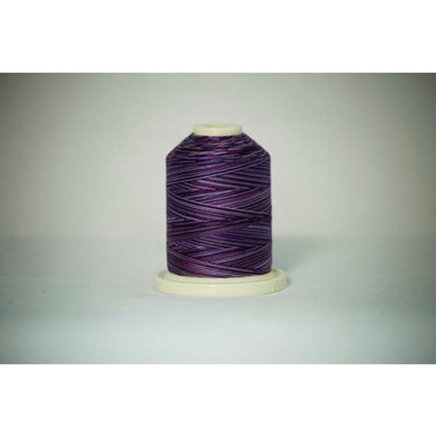 Signature 40wt Varigated 700yd Purple Haze